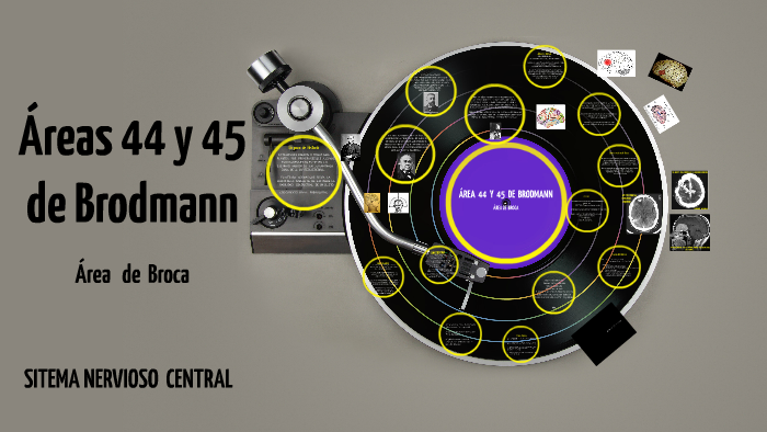 Areas 44 y 45 by guillermo gallardo on Prezi