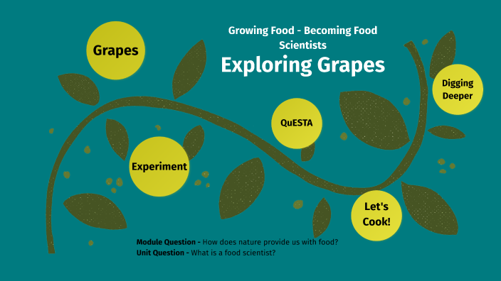 Lesson 2 - Exploring Grapes by Dorothy Cross on Prezi