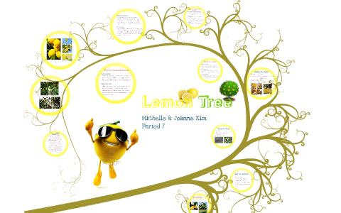 APES Sustainable Farm Project by Joanne Kim on Prezi