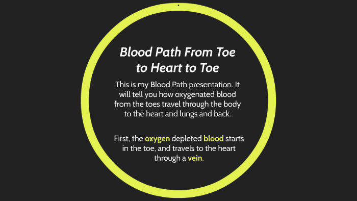 Blood Path From Toe to Heart to Toe by Jonathan Myong on Prezi