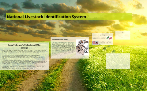 National Livestock Identification System by Heidi Jones on Prezi
