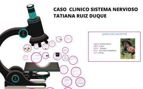 CASO CLINICO SISTEMA NERVIOSO by tatiana ruiz on Prezi