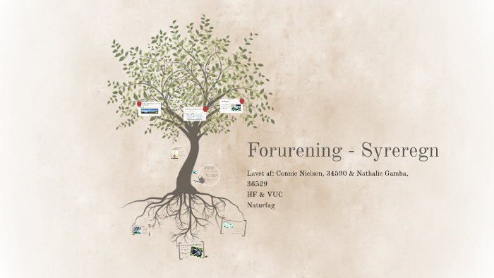 Forurening - Syreregn by Connie Nielsen on Prezi