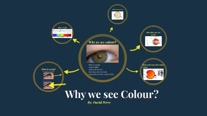 Why do we see in colour? by David Perry