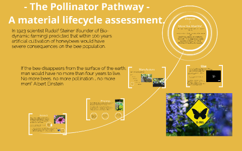 Pollinator Pathway by Anna Schulman on Prezi