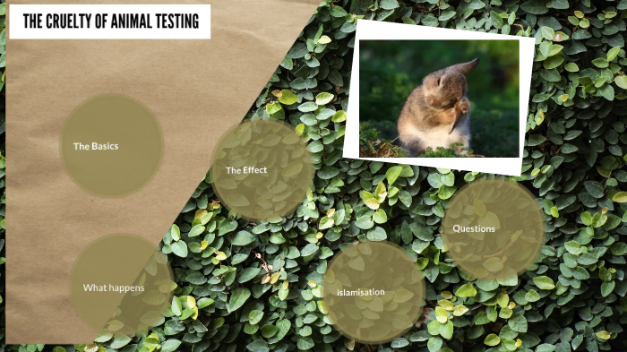 english project-animal testing by Ragoodi Nour on Prezi