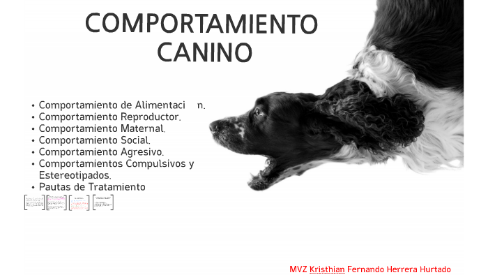 COMPORTAMIENTO CANINO by Kris Herrera on Prezi