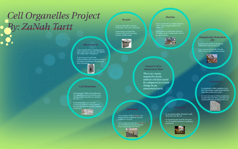 Cell Organelles Project by ZaNah Tartt on Prezi