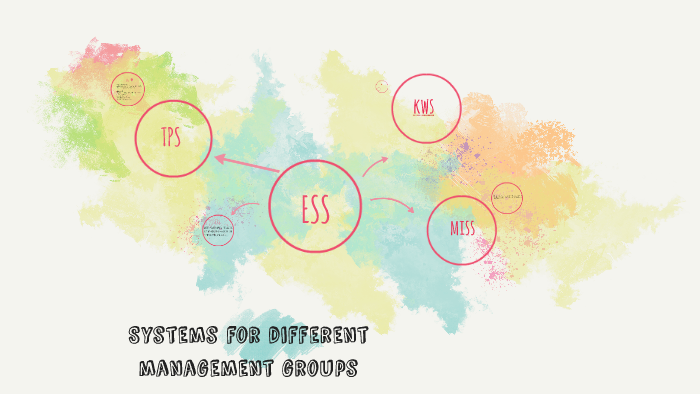 Systems for different management groups by on Prezi