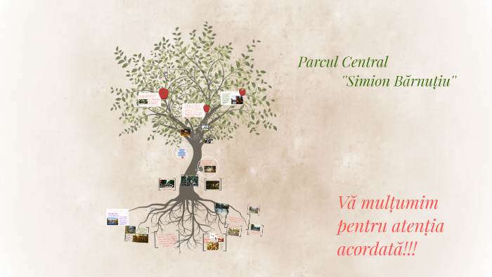 Parcul Central ''Simion Bărnuțiu'' by Daniela Andreea on Prezi