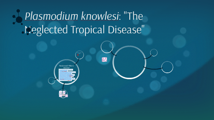 Plasmodium knowlesi: "The Neglected Tropical Disease" by Jessica Adlish ...