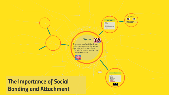 The Importance of Social Bonding and Attachment by on Prezi