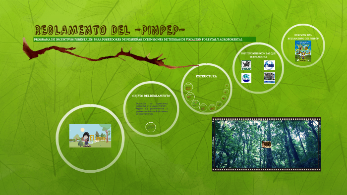 REGLAMENTO DEL -PINPEP by on Prezi