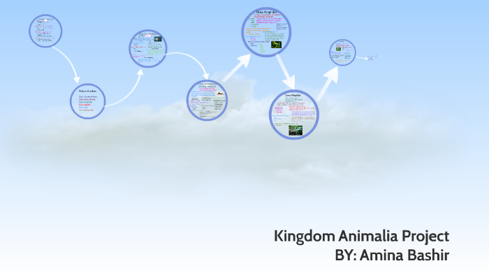 Kingdom Animalia Project by Amina Bashir on Prezi