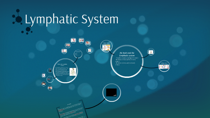 lymphatic system by on Prezi