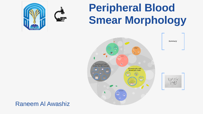 Peripheral Blood Smear Morphology by raneem abdullah on Prezi