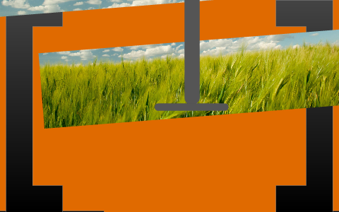 Spongieri , celenterate by Ilinca Popa on Prezi