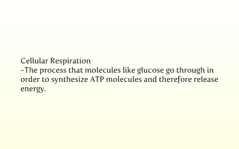 Preparatory Reaction & Krebs Citric Acid Cycle by David Yu on Prezi