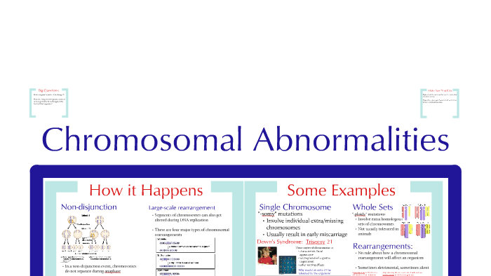 Chromosomal Abnormalities- Chapter 15 by Sara Mitchell on Prezi