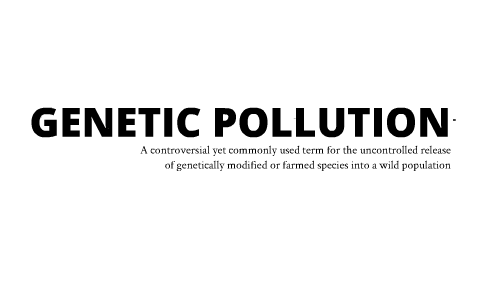 Genetic "Pollution" by Miles O on Prezi