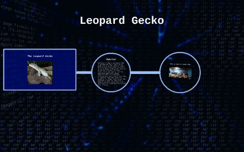 Gecko by Lewis Epley on Prezi