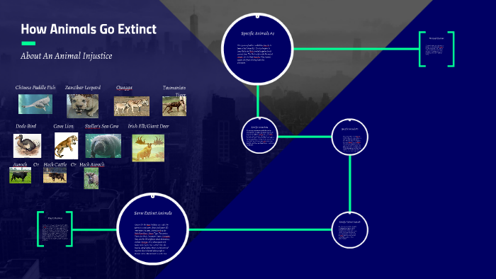How Animals Go Extinct by Jaiden Everett on Prezi