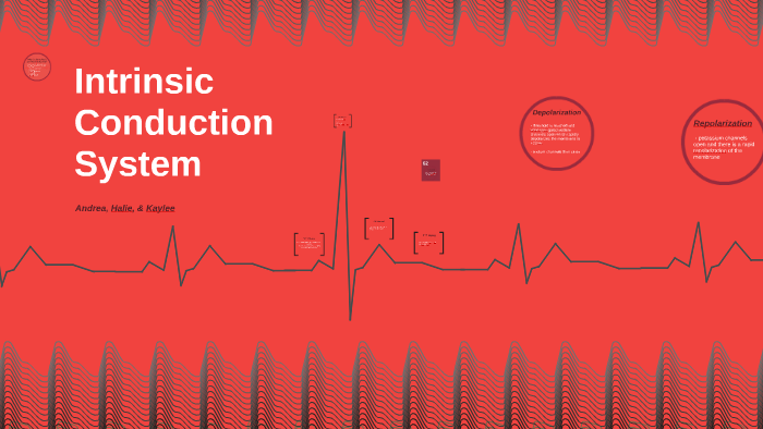 The Intrinsic Conduction System of the Heart by Kaylee Hoover on Prezi