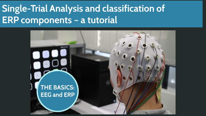 Single-Trial Analysis and Classification of ERP Components – a Tutorial ...