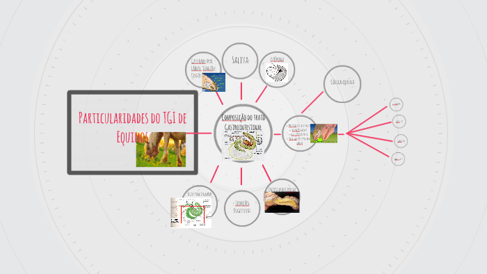 Particularidades do TGI de Equinos by Marina Borges on Prezi