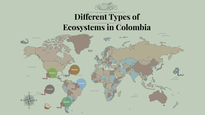 Different Types of Ecosystems in Colombia by Andrea Lara Flórez on Prezi