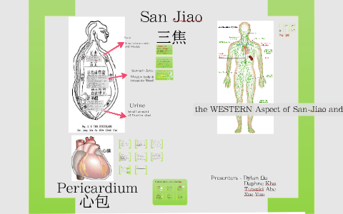 San jiao and Pericardium by Tatsuki Abe on Prezi