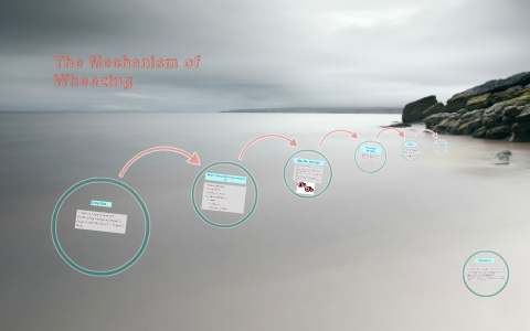 The Mechanism of Wheezing by on Prezi