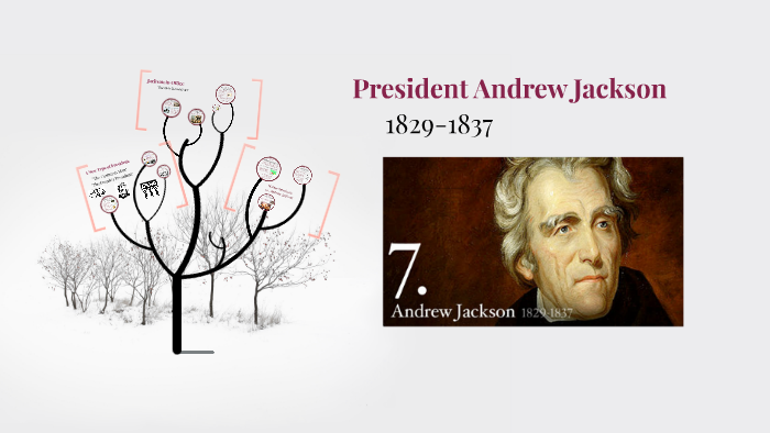 Andrew Jackson by Olivia Lewis on Prezi