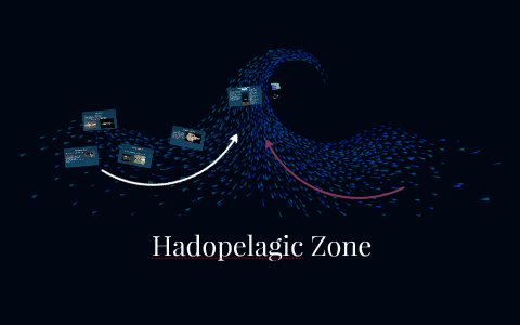 Hadopelagic Zone by Diana Cortez on Prezi