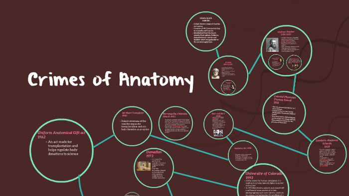 Crimes of Anatomy by Emily Alaniz on Prezi