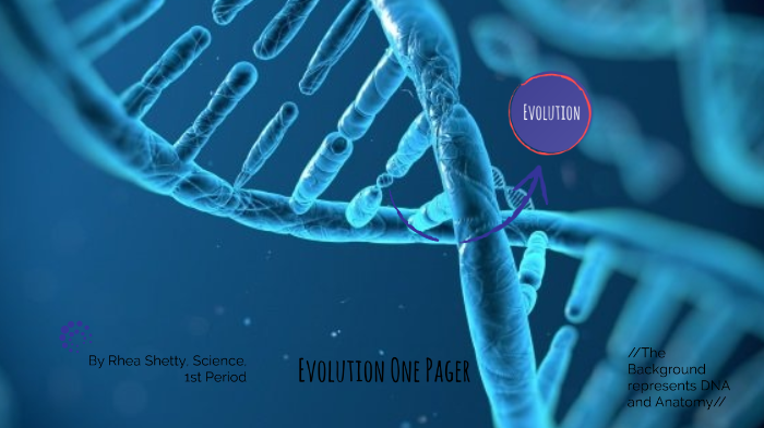 Evolution One Pager by Blue Sky on Prezi