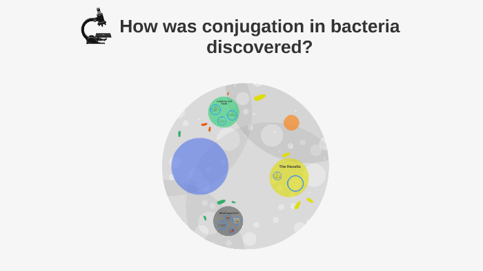 How was conjugation in bacteria discovered? by Charlotte Brown on Prezi