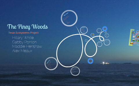 Texas Ecosystems Project by Hillary White on Prezi