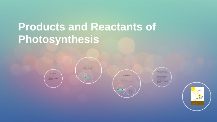 Products and Reactants of Photosynthesis by Steven Ott on Prezi