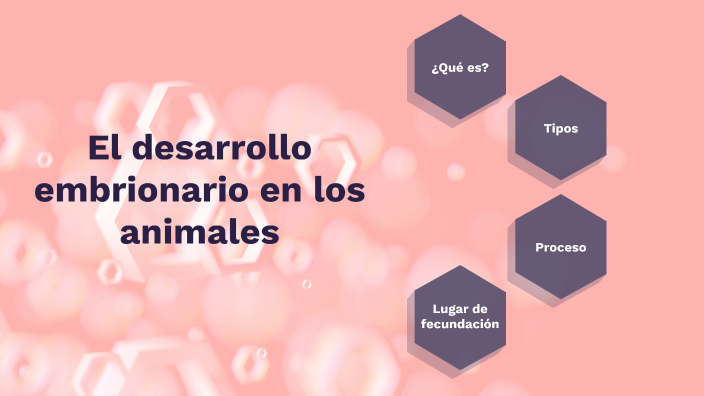 El desarrollo embrionario en los animales. by Andrés Narváez on Prezi