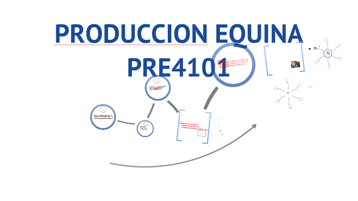 PRODUCCION EQUINA 1 by Marcelo Orrego on Prezi