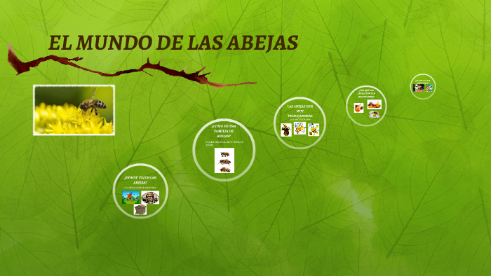 EL MUNDO DE LAS ABEJAS by Beatriz Mora on Prezi