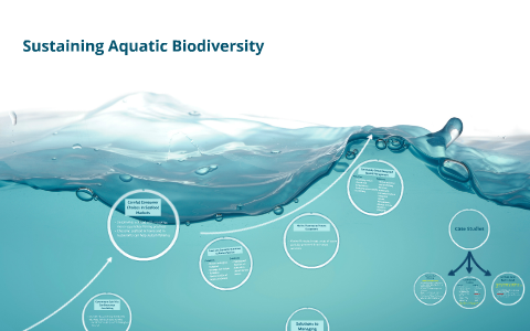 Sustaining Aquatic Biodiversity by Rachel Williams on Prezi