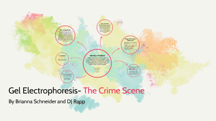 Gel Electrophoresis- The Crime Scene by Bri Schneider on Prezi