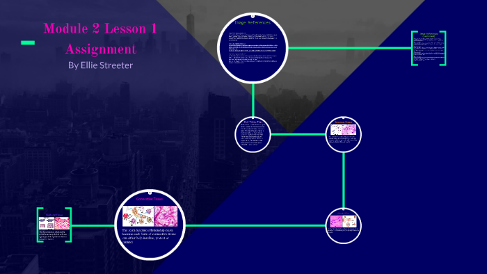 Module 2 Lesson 1 Assignment by Ellie Streeter on Prezi