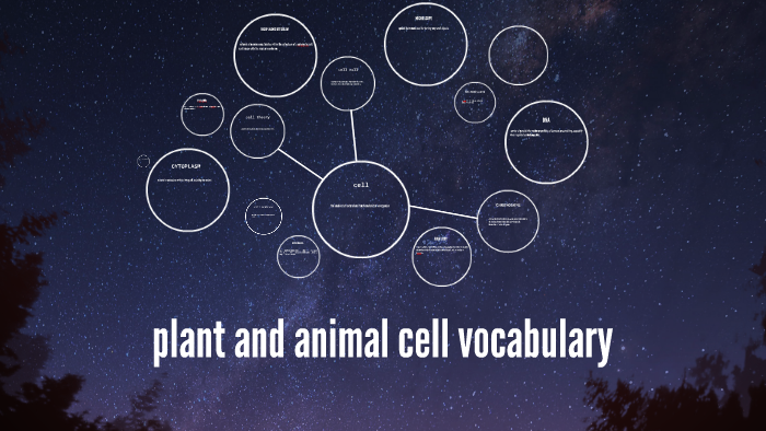 plant and animal cell vocabulary by mary ruff on Prezi