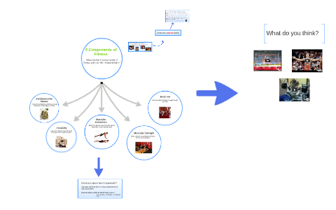 5 Components of Fitness by Ashley Elsom on Prezi