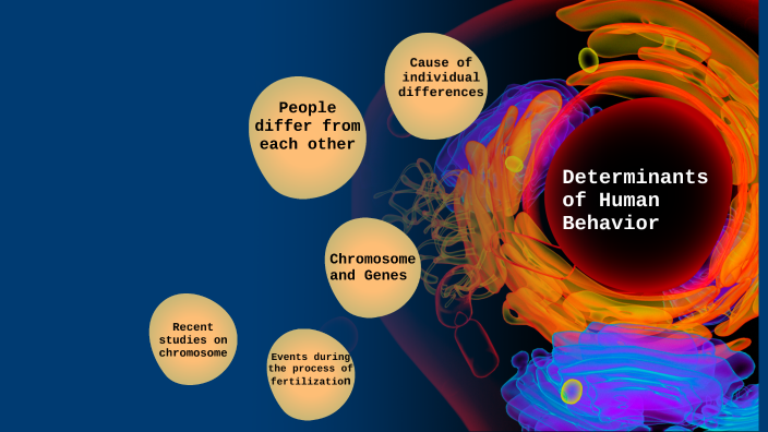 Determinants of human behavior by Michelle Blasa on Prezi