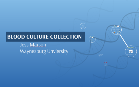 BLOOD CULTURE COLLECTION by Jessica Marson on Prezi