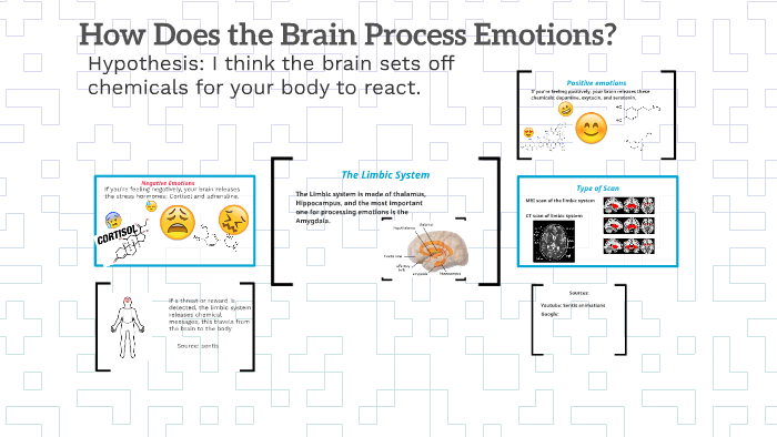 How Does the Brain Process Emotions by Blah on Prezi